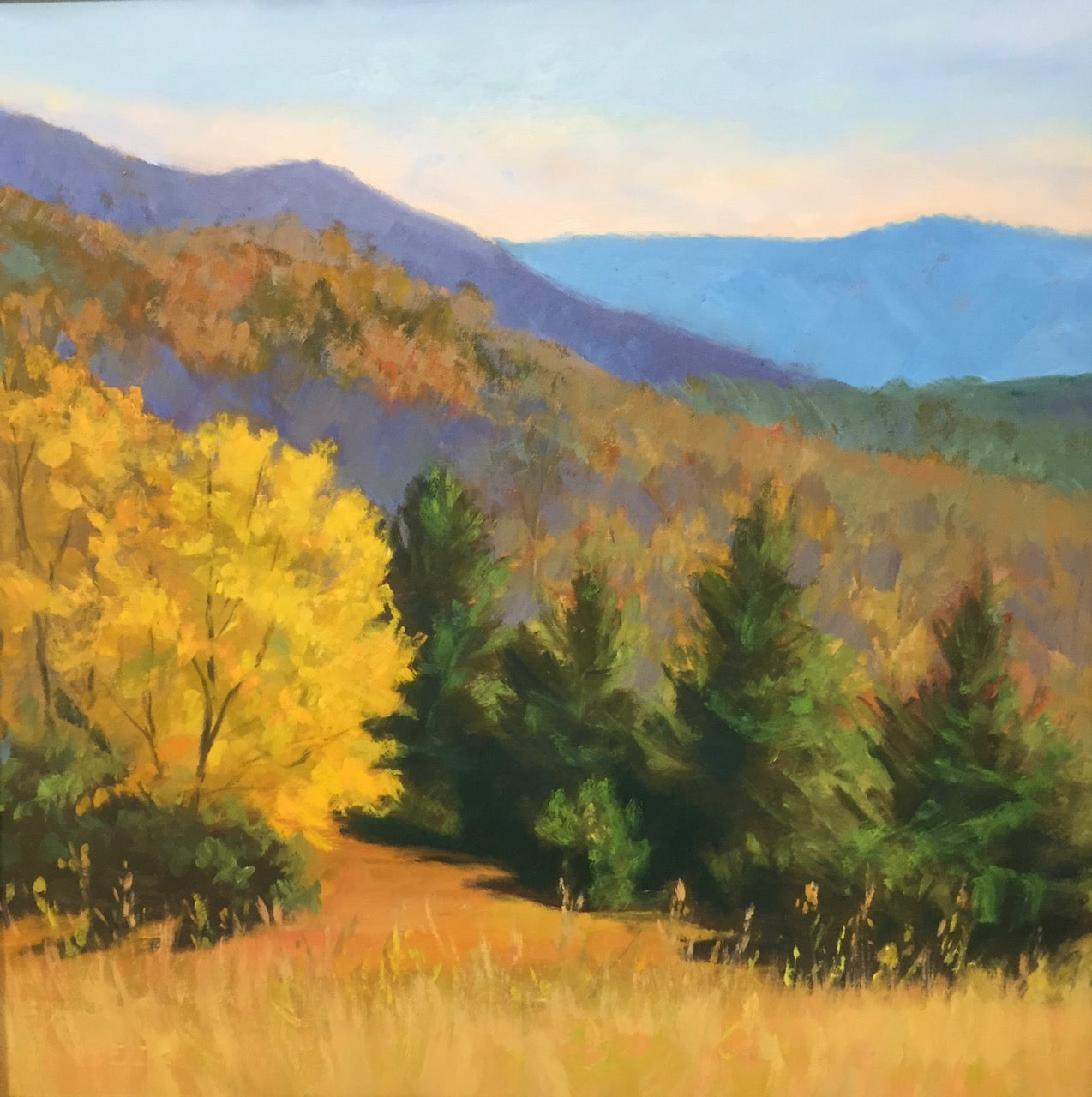 Collections – Martin House Gallery